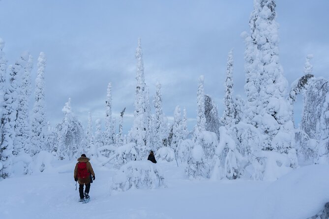 Private Snowshoe or Ski Adventure in Lapland - The Sum Up