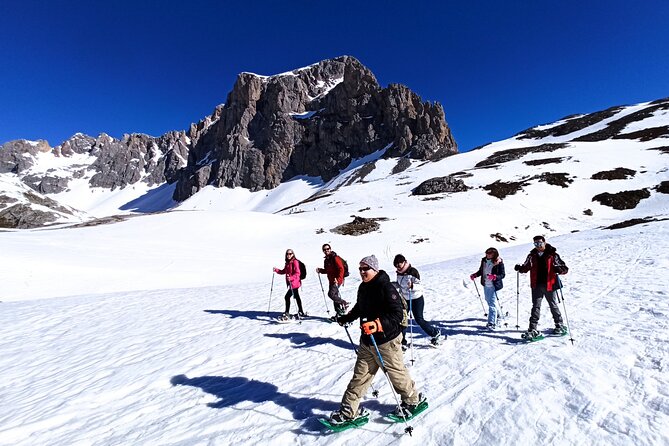 Private Snowshoe Route in Cantabria, Picos de Europa - Who Will Love This Tour?