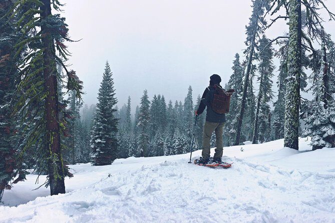 Private Snowshoeing Adventure from Badger Pass to Dewey Point - FAQ