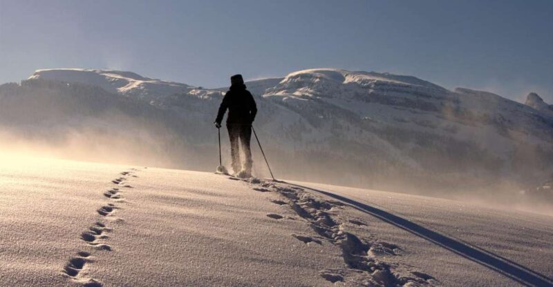 Private Snowshoeing Full Day - Experience Highlights
