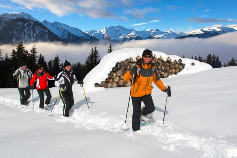 Private Snowshoeing Full Day - Inclusions and Logistics