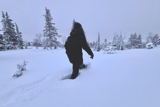 Private: Snowshoeing Safari in spectacular National Park - Exploring the Snowshoeing Safari in Lapland’s Spectacular National Park
