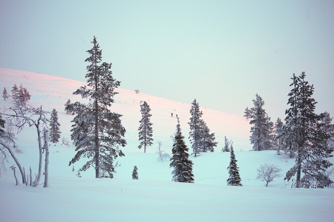 Private: Snowshoeing Safari in spectacular National Park - FAQ