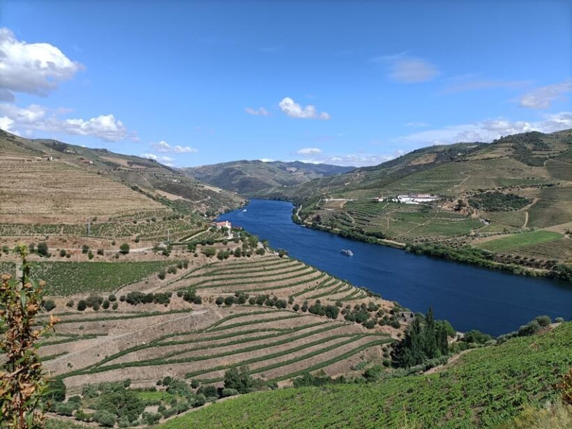 Private Sommelier Tour (Verde e Douro): 3 Wineries and Lunch - Analyzing the Value