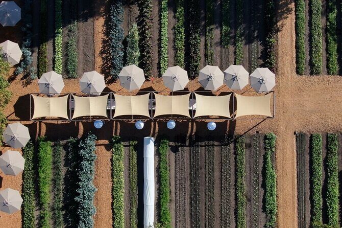 Private Sonoma Wine Tour up to 6 Guests - In-Depth Look at the Itinerary & Stops