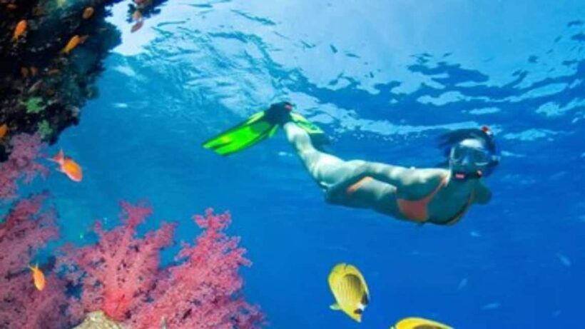 Private: Sosua Bay Snorkeling Tour with Hotel Pickup - Key Points