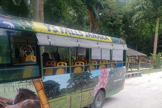 Private South Coast Floyd Pelican Bar & YS Fall fr. Montego Bay - Starting with Comfort: Private Transport from Montego Bay