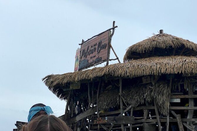 Private South Coast Floyd Pelican Bar & YS Fall fr. Montego Bay - Practical Details: What Travelers Should Know