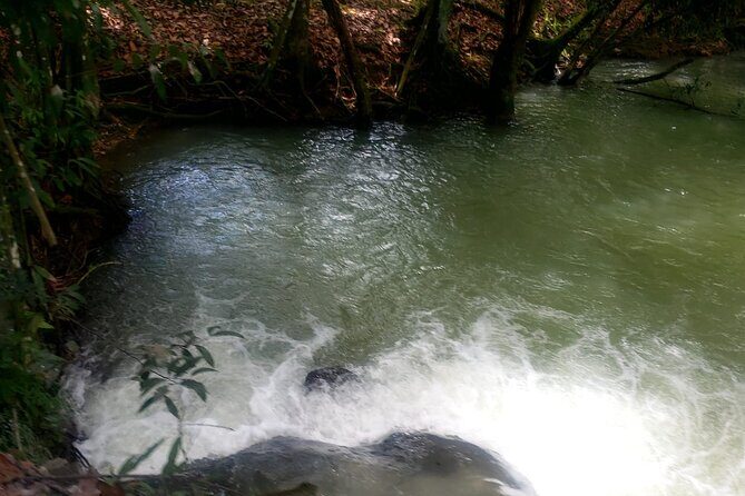 Private South Coast Floyd Pelican Bar & YS Fall fr. Montego Bay - What Travelers Say