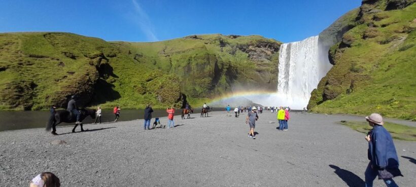 Private South Coast Tour from Reykjavik - Key Points