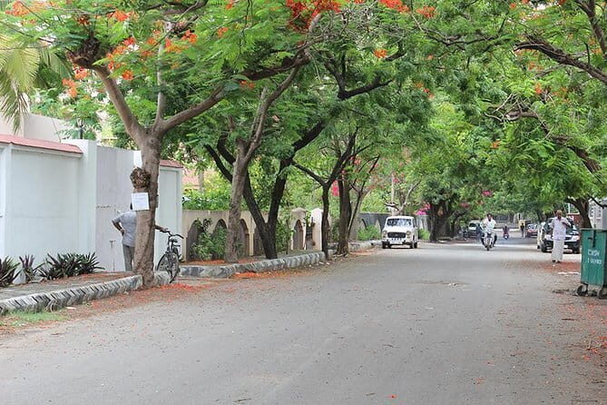 Private South Indian Vegetarian Dining with a Local Near the Chennai Airport - Who This Tour Suits Best