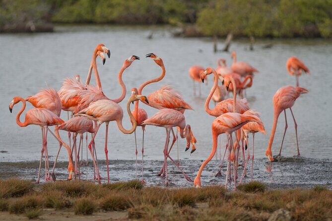 Private Southern Island Tour Including Family Photoshoot - Itinerary Breakdown: What to Expect