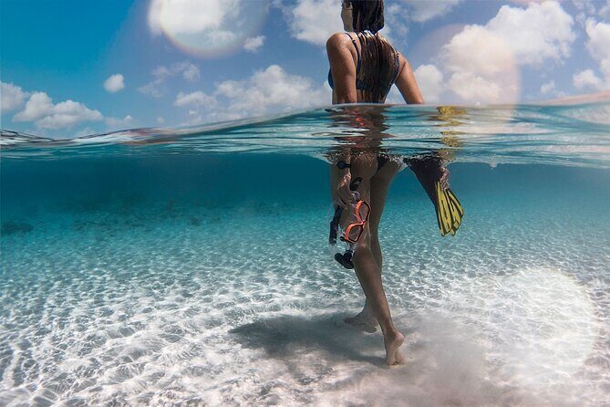 Private Southern Island Tour Including Family Photoshoot - Photos and Memories—A Free Bonus