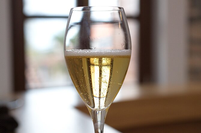 Private Sparkling Wine Tasting in Istria - Introduction