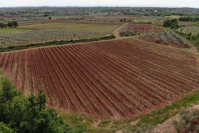 Private Sparkling Wine Tasting in Istria - How This Tour Fits into Your Istrian Adventure