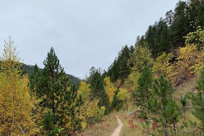Private Spearfish Canyon Hike - Who Should Consider This Tour?