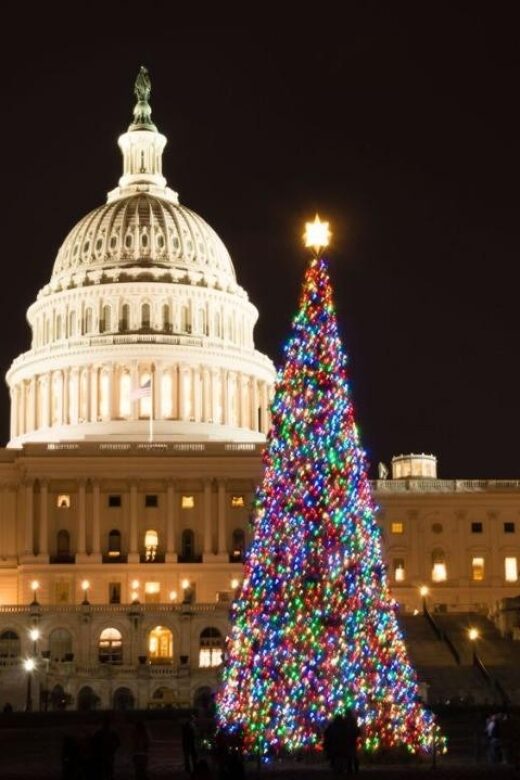 Private Special Christmas tour in Washington - Key Points