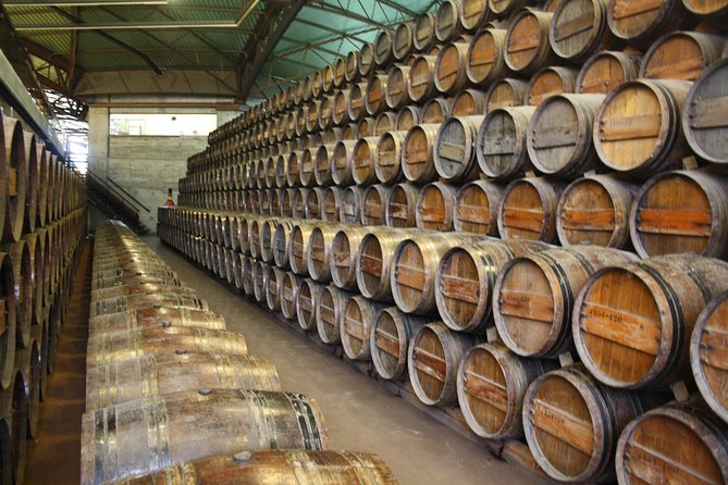 Private Special Tour Around Lisbon and Wine Tasting - Transportation & Comfort