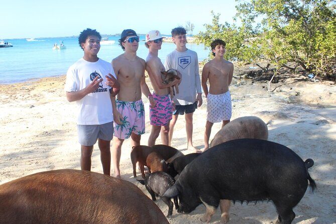 Private speed boat beach and bar hopping visiting Rose island - Key Points