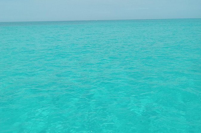 Private speed boat beach and bar hopping visiting Rose island - The Sum Up