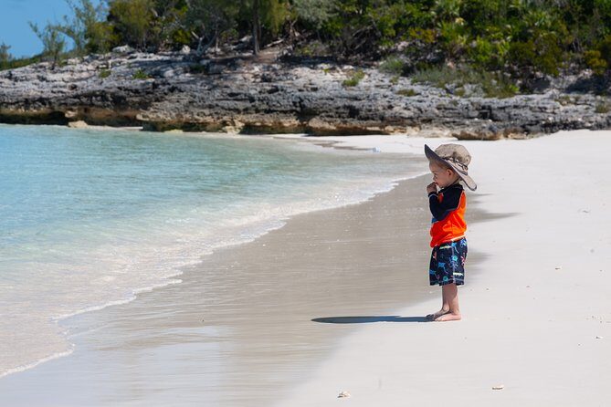 Private Speed Boat for Snorkeling or Fishing in Nassau - 34ft - Who Should Consider This Tour?