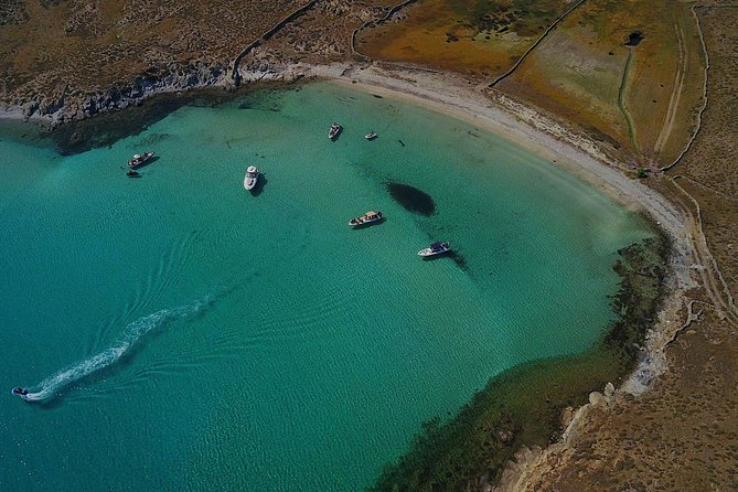 Private Speedboat Cruise From Delos to Rhenia and Mykonos - Customer Feedback and Response