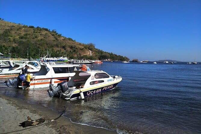Private Speedboat transfer Between Lombok and Gili Islands - An In-Depth Look at the Speedboat Experience