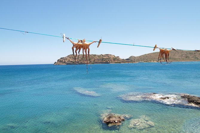 PRIVATE Spinalonga & Agios Nikolaos & Olive Oil Factory CRETE - Customer Feedback