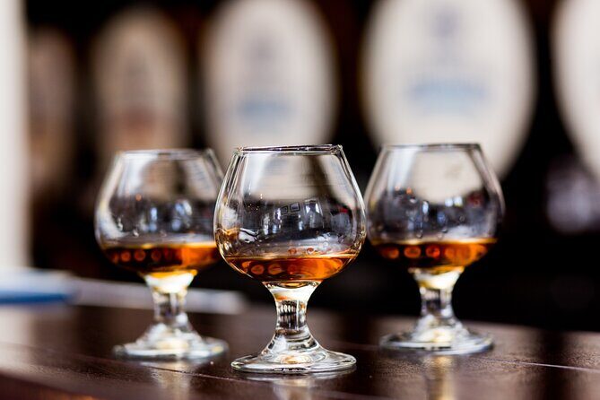 Private Spirits Tasting and Mixology at Downtown Nassau Speakeasy - Deep Dive into the Experience