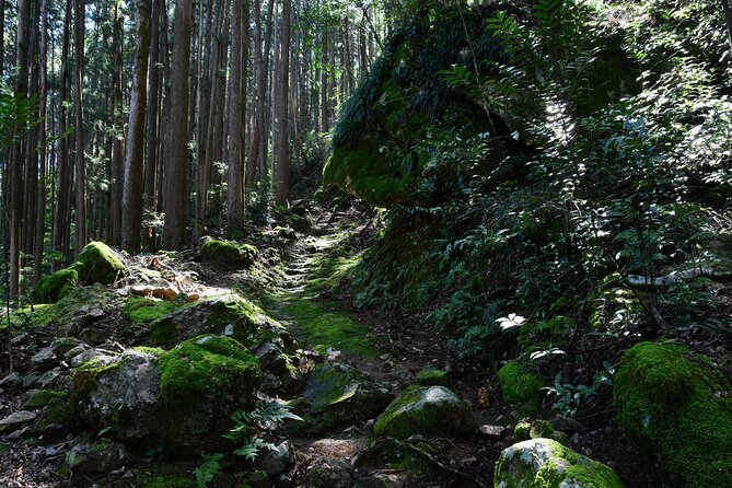 Private Spiritual Hike in Hidakamura With Mountain Monk - Health and Safety Considerations