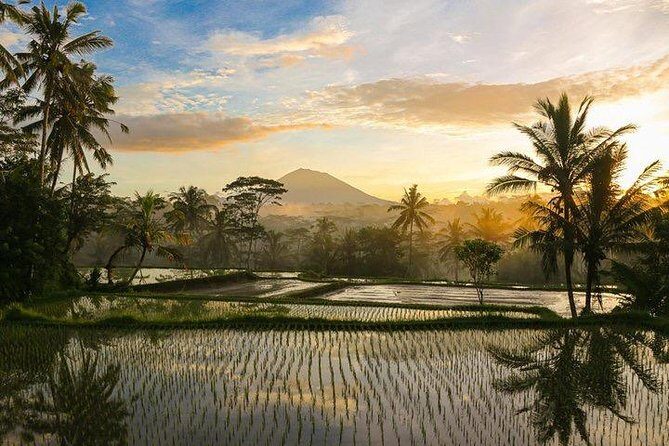 Private spiritual Journey with purification ceremony and lunch - Final Thoughts: Who Will Appreciate This Tour?