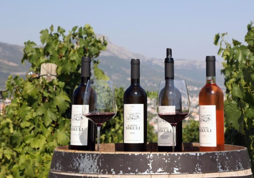 Private Split & Trogir Wine Tasting & Vineyard with Sea View - Who Will Love This Tour?