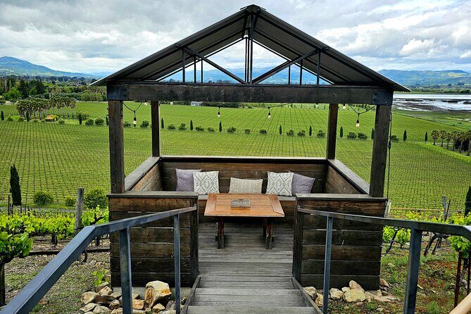 Private Sprinter Tour of Napa Valley - Final Thoughts: Is This Tour Right for You?