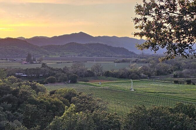 Private Sprinter Tour of Napa Valley - Frequently Asked Questions