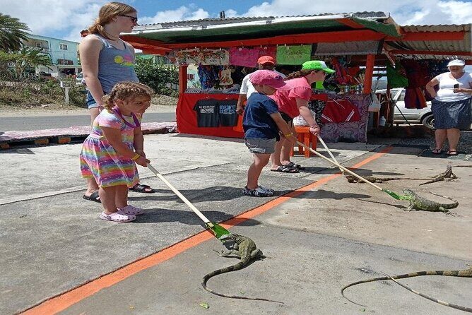 Private St Maarten Island Sightseeing Tour - What Makes This Tour Stand Out?