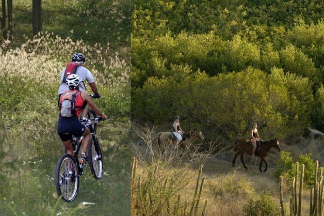 Private St Maarten Sightseeing Tour from Philipsburg - Who Should Consider This Tour?