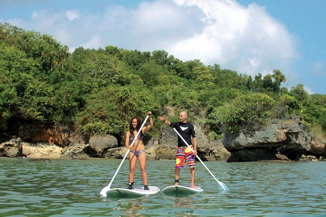 Private Stand Up Paddle Lesson - Introduction