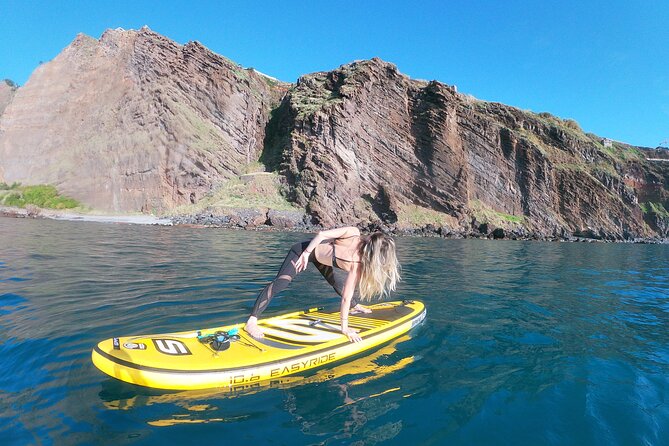 Private Stand up Paddle Tour in Câmara De Lobos - Customer Feedback and Ratings