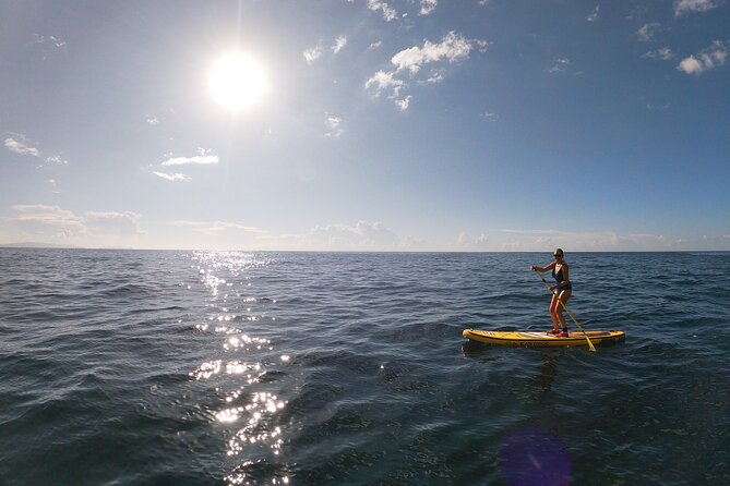 Private Stand up Paddle Tour in Câmara De Lobos - Stunning Scenery Along the Southern Coast