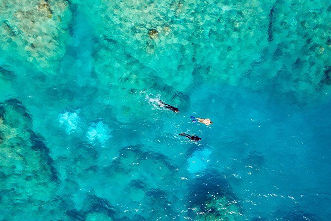 Private Standard Charter Experience in Whitsundays - Authentic Feedback from Travelers