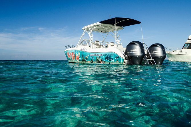 Private Stingray City Snorkeling and BioBay Charter for 10 Guests - Final Thoughts: Is It Worth It?