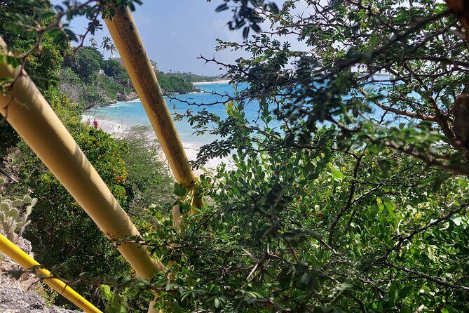 Private Street Art Murals and Coastal San Nicolas E-Bike Aruba - Final Thoughts