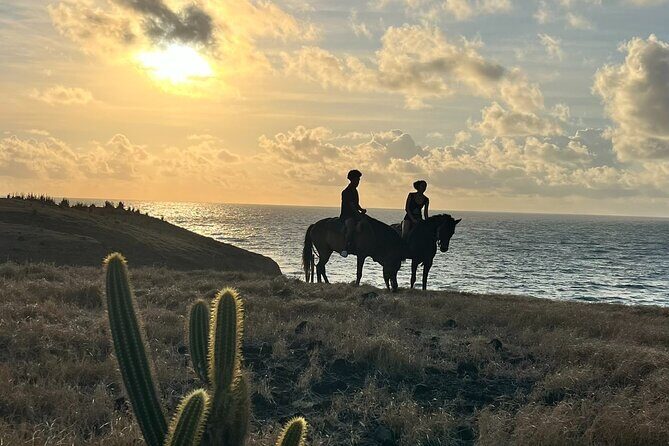 Private Sunrise Horseback Beach Ride with Sandy Hoofs St. Lucia - An In-Depth Look at the Sunrise Horseback Ride