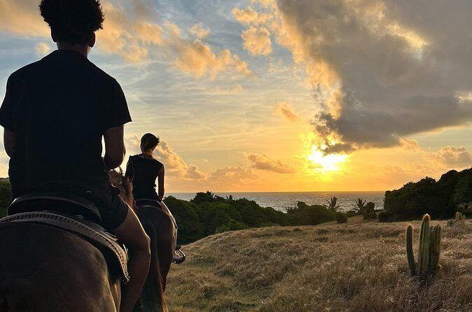 Private Sunrise Horseback Beach Ride with Sandy Hoofs St. Lucia - FAQ