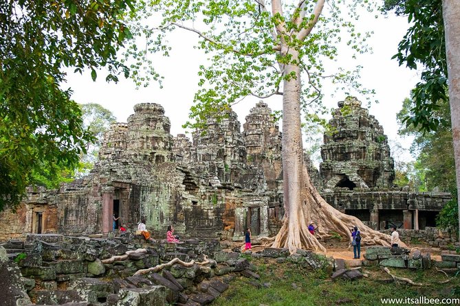 Private sunrise 'small tour' of Angkor Wat with car or van & Guide - The Sum Up