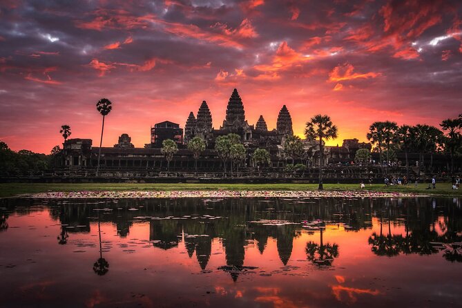 Private sunrise tour to Angkor Wat & other highlights with Professional Guide. - What the Reviews Say
