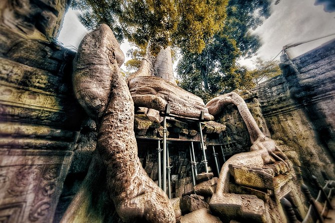 Private sunrise tour to Angkor Wat & other highlights with Professional Guide. - Who Should Consider This Tour?