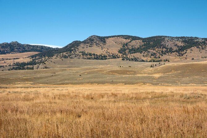 Private Sunrise Wildlife Adventure Into Yellowstone Lamar Valley - A Deep Dive into the Sunrise Wildlife Adventure