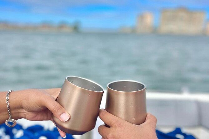 Private Sunset and Dolphin Tour in St. Petersburg, Florida - Final Thoughts: Who Will Love This Tour?