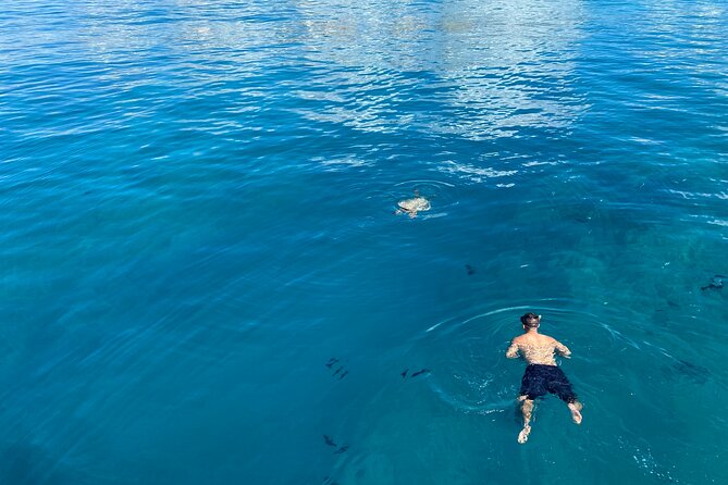 Private Sunset Catamaran Cruise in Waikiki - Meeting and Pickup Details